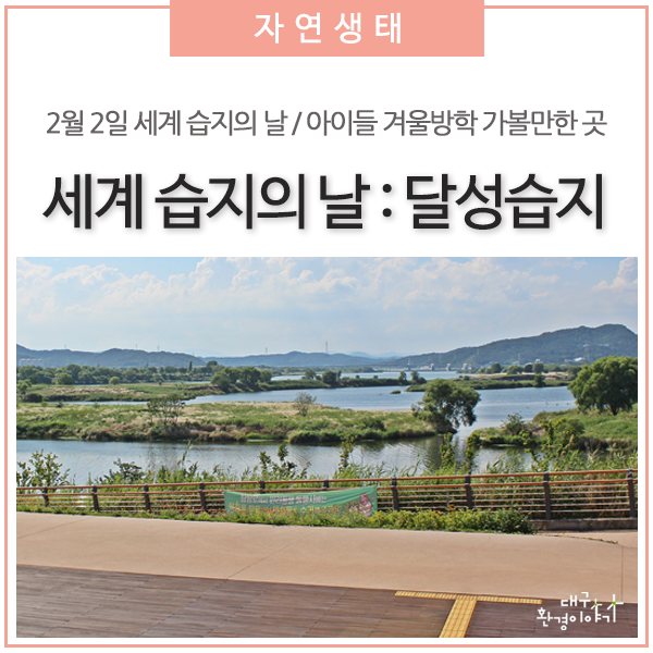 2월 2일 세계 습지의 날 가볼만한 곳 아이들 겨울방학 체험 추천 네이버 블로그