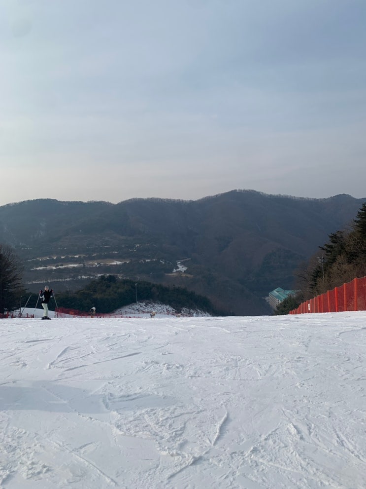 비발디파크 스키장 초급코스 스키장 간식비발디파크 꿀 팁 네이버 블로그