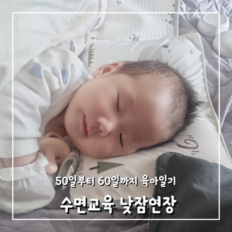 50일부터 60일까지 수면교육 육아일기 낮잠연장과의 전쟁 네이버 블로그