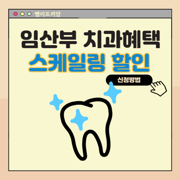 임산부혜택 임산부 치과치료 할인방법과 스케일링 가능한 시기 스케일링 보험 대상자 조회방법까지 네이버 블로그