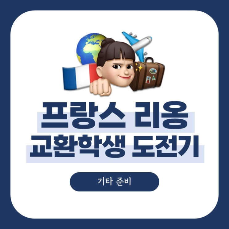 프랑스 교환학생 도전기 5 기타 준비 항공권 구매 유럽 항공사 추천에어프랑스 교환학생 카드 추천트래블월렛