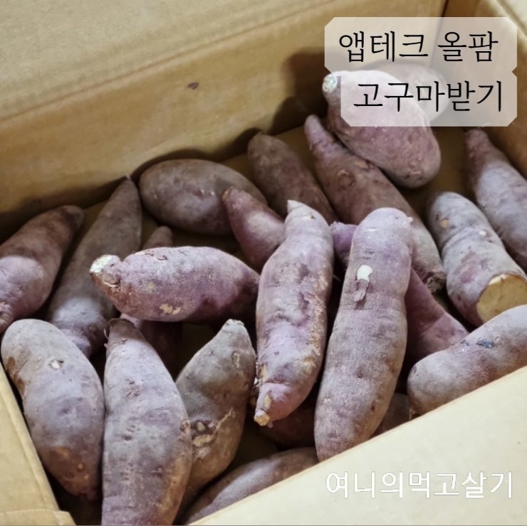 앱테크 올웨이즈 올팜으로 작물 수확해서 집으로 받기 고구마 기간 네이버 블로그