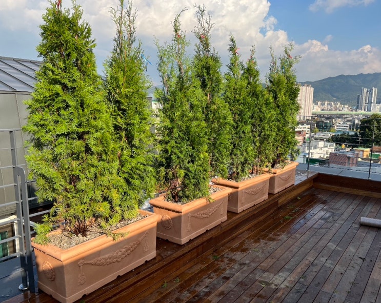 직사각토분 대형토분 조경화분 아파트화분 주차방지화분 파티션화분 플라스틱토분 네이버 블로그