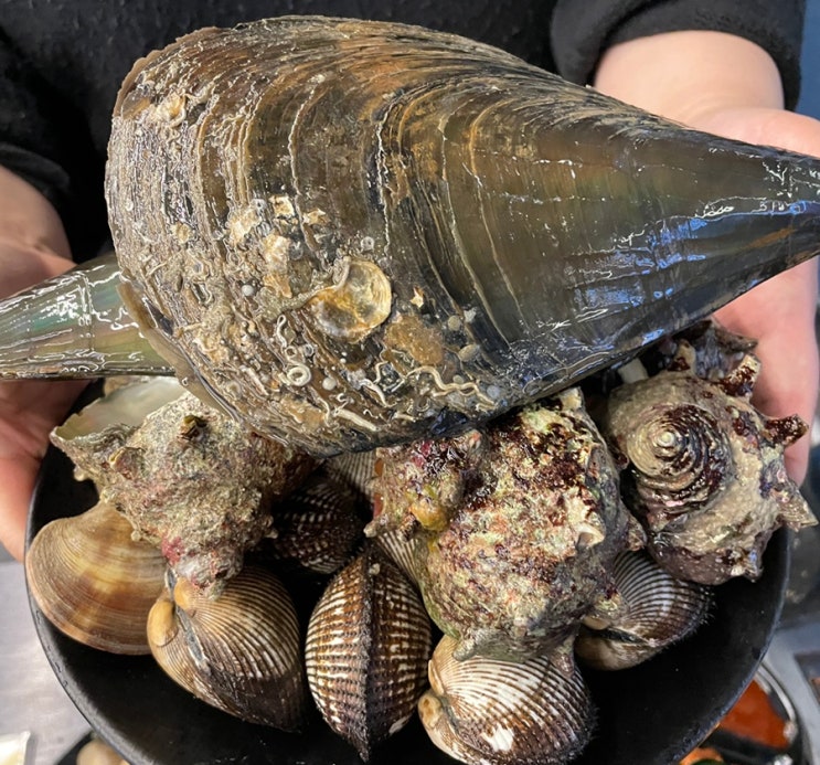의정부 조개구이 맛집 조개구이 무한리필 시간제한 없는 의정부 무한조개 네이버 블로그