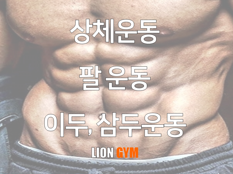 라이언짐 양벌점 양벌리헬스장 양벌리pt 팔운동 경기광주헬스장 헬스장운동 이두운동 삼두운동 오포읍
