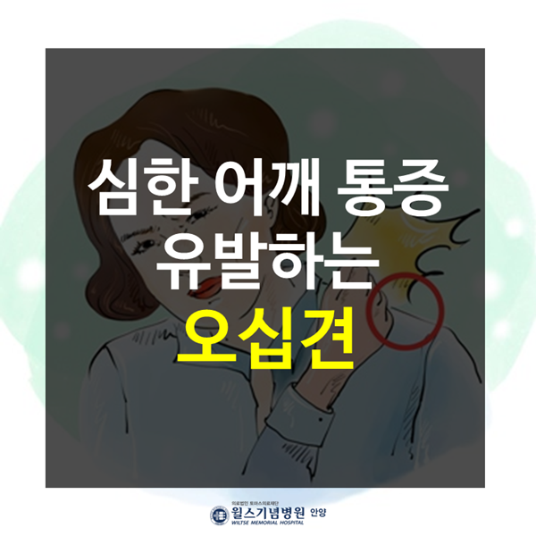 평촌정형외과 심한 어깨통증이 발생했다면 오십견 의심│안양윌스기념병원 네이버 블로그