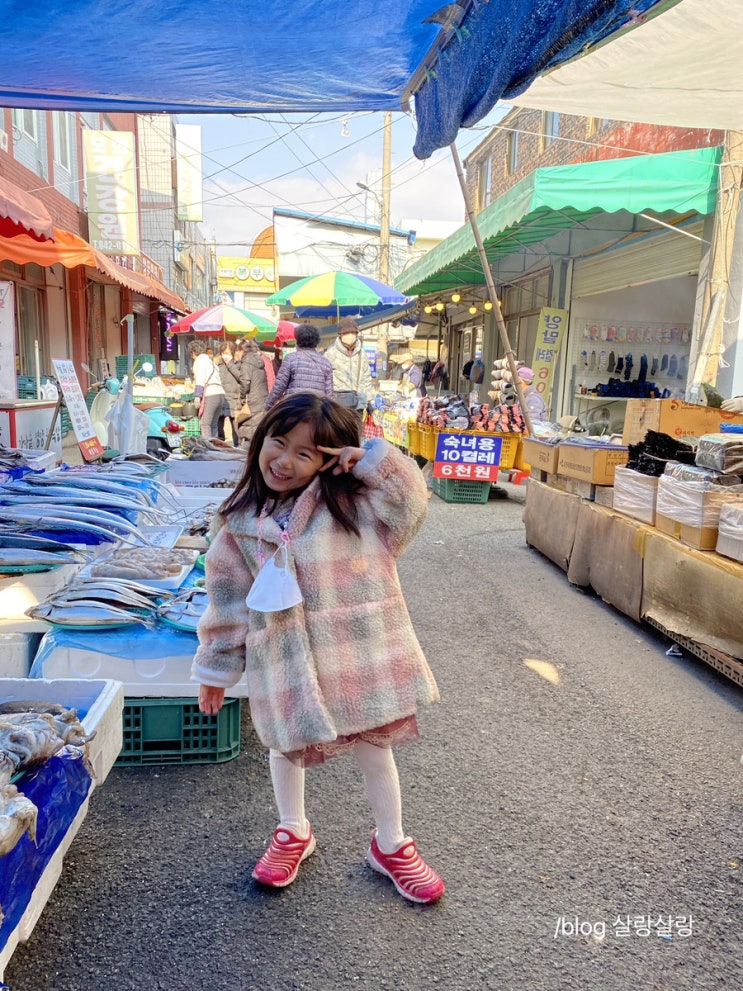 익산 여행 전북 최대 오일장 전통시장 북부시장 나들이 주차정보 아이와 가볼만한 곳 네이버 블로그