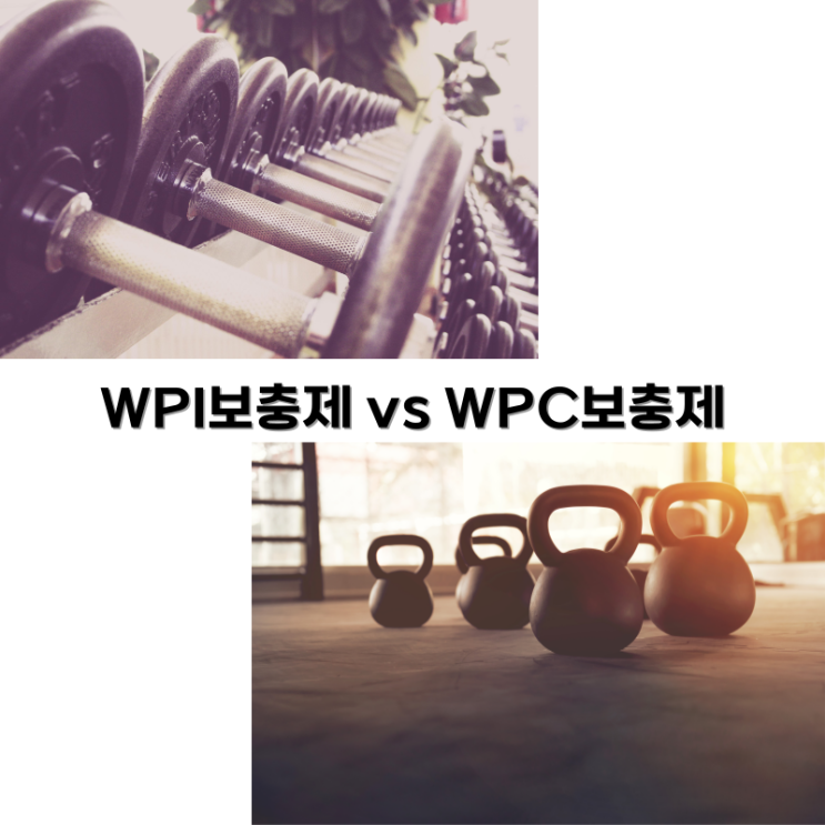 단백질 보충제 wpi wpc 차이점과 고르는 법 : 네이버 블로그