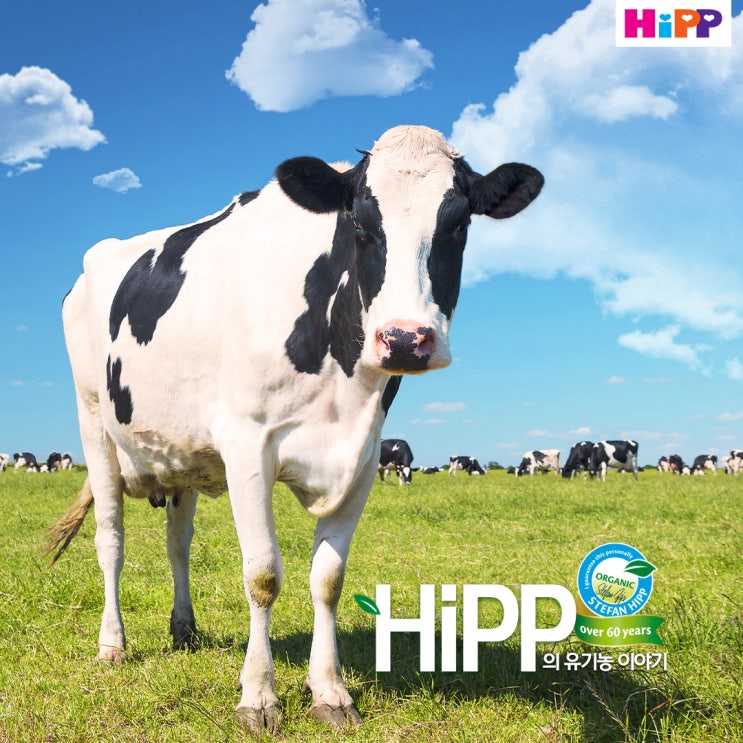유기농 분유 브랜드 힙(HiPP)의 유기농 이야기🌱 : 네이버 블로그