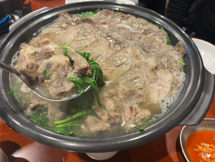 부산 해운대장산 달래해장 해장국과 모듬수육이 맛있는 먹거리 핫플 네이버 블로그