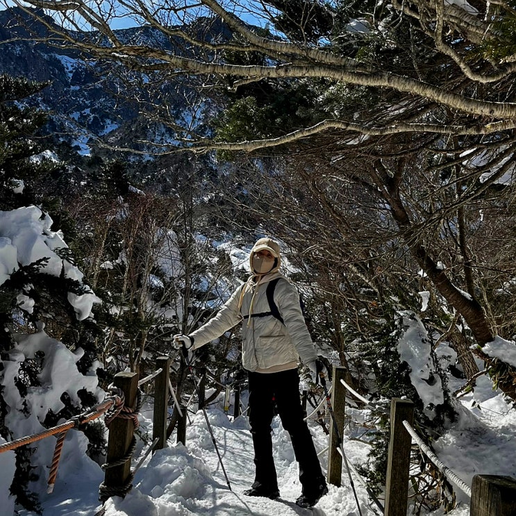 제주도 등산 장비 대여 오쉐어 이용 한라산 정복 패키지로 등산화 및 아이젠 등 편하게 네이버 블로그