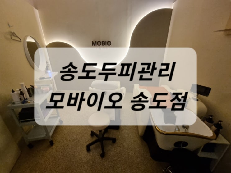 송도 두피관리 모바이오 송도점 연수구 탈모관리 스케일링 제대로 받았어요 네이버 블로그