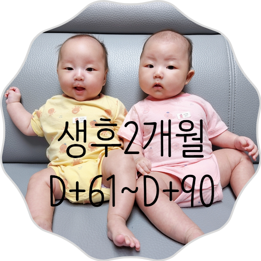 육아일기 D61~d90 생후2개월 성장발달수유텀아기체육관트윈스케치다이치 올인원 360 네이버 블로그