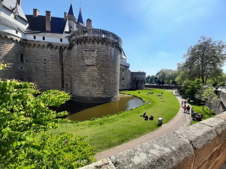 What is a cup cake slang? : 네이버 블로그