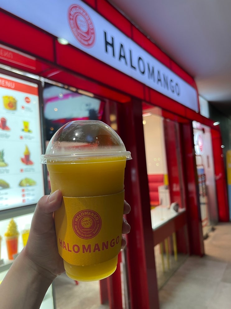 필리핀 보홀 할로망고(HALOMANGO) / 필수코스입니다 왜냐하면... : 네이버 블로그