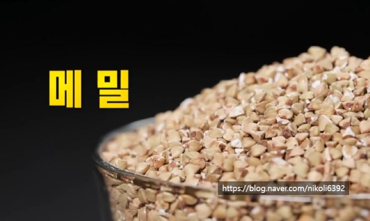 메밀 효능과 칼로리 부작용 입니다 네이버 블로그