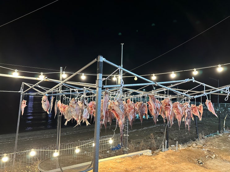 영종도 애견동반 식당 소나무식당 생선구이 회덮밥 파전 먹고 덕장도 구경하고~ 노을바다 밤바다 보고 왔어요 네이버 블로그