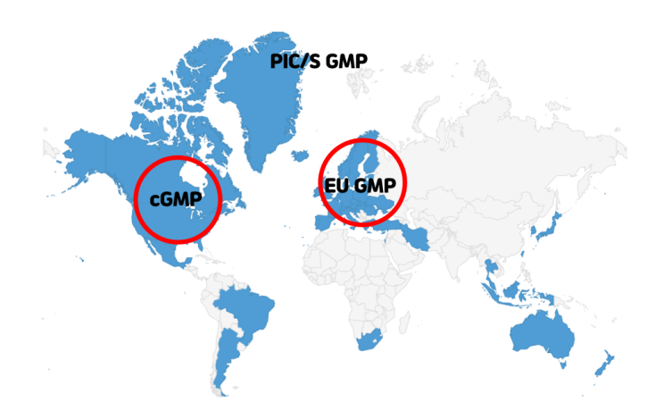 GMP 그래서 그게 뭔데? #GMP종류 #위반사례 : 네이버 블로그
