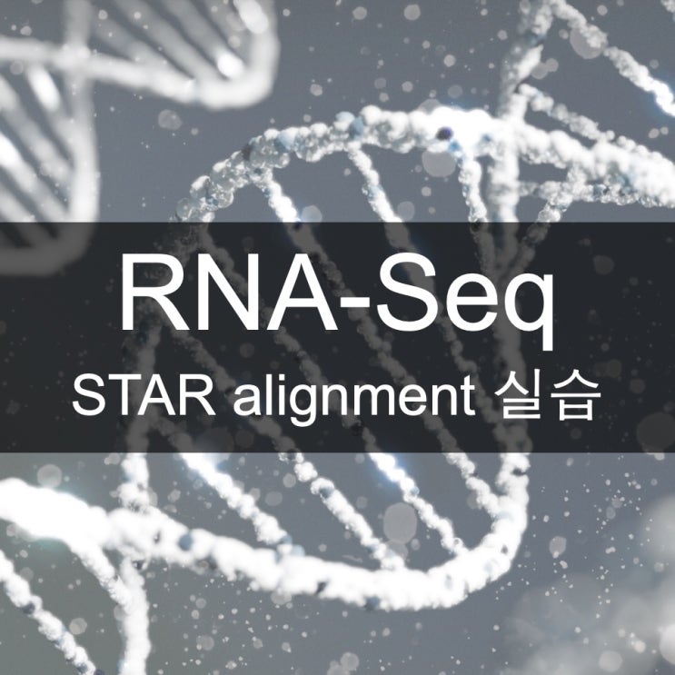 [Bioinformatics / RNA-Seq] STAR Alignment ③ : 네이버 블로그