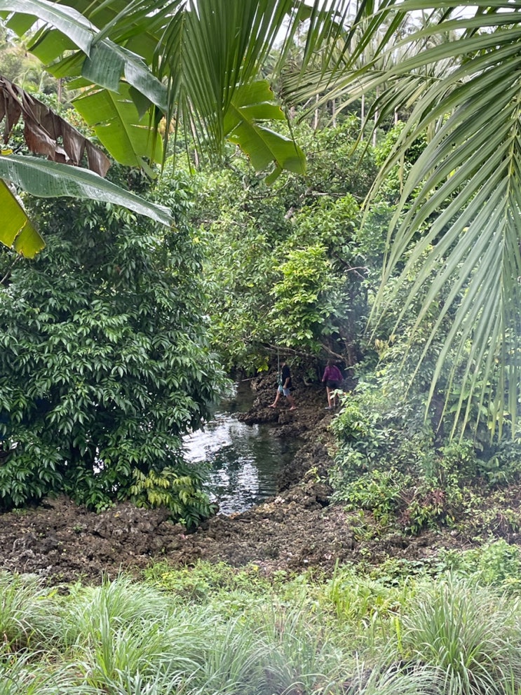 필리핀 세부 시아르가오ㅣ현지인들만 아는 천연 풀장 [Bugak Cold Spring] 스윙 점프도 되지만 여자 혼자가기엔 ...