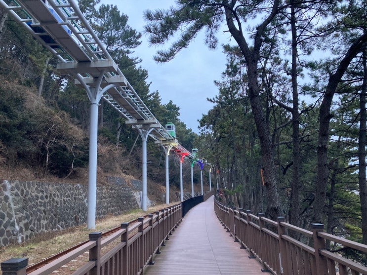 해운대 블루라인파크미포철길 왕복 산책 미포 청사포 다릿돌전망대 구덕포 송정 네이버 블로그