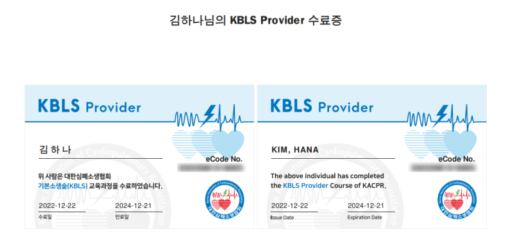 KBLS Provider 자격증 취득 ! : 네이버 블로그