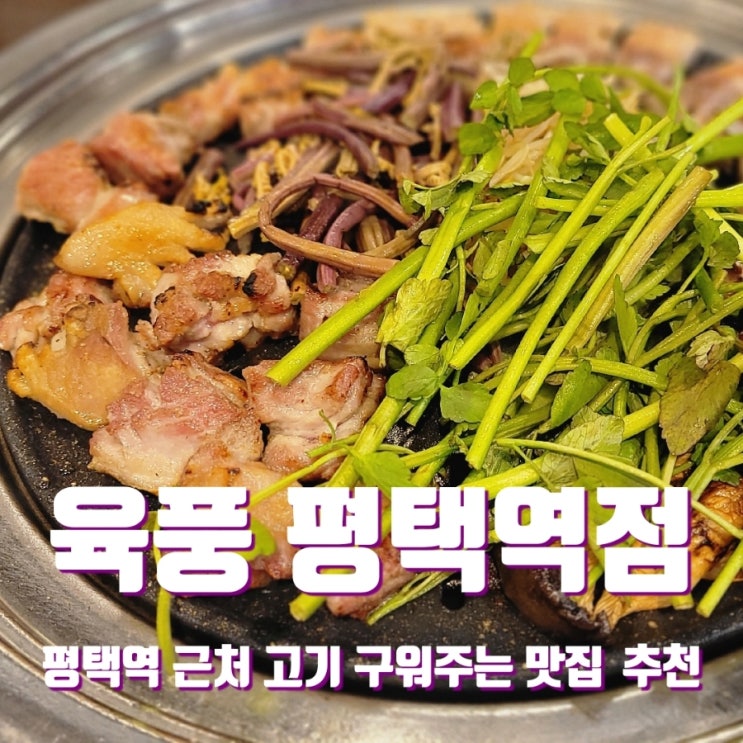 육풍 평택역점 평택역 근처 고기 구워주는 맛집 회식 모임 장소 추천 아들들과 데이트 네이버 블로그