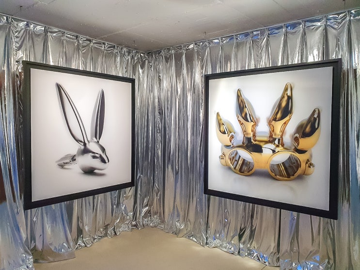 [서울 강남 전시 추천] 신사하우스 '토끼전 : The Rabbit Universe' 관람 후기 : 네이버 블로그