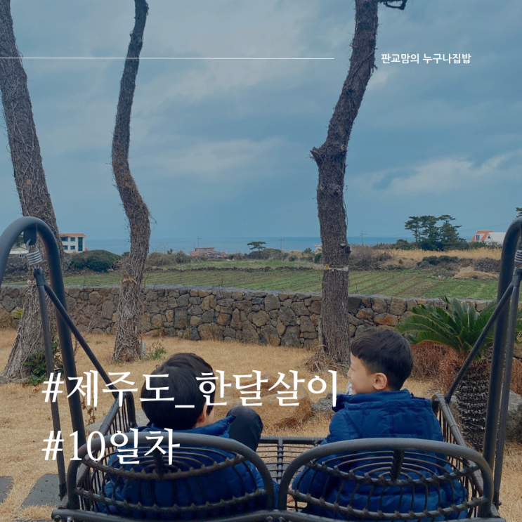제주한달살이10 애월 카페 테라도스 메누하 브런치 숙소아이와 가볼만한 곳 네이버 블로그