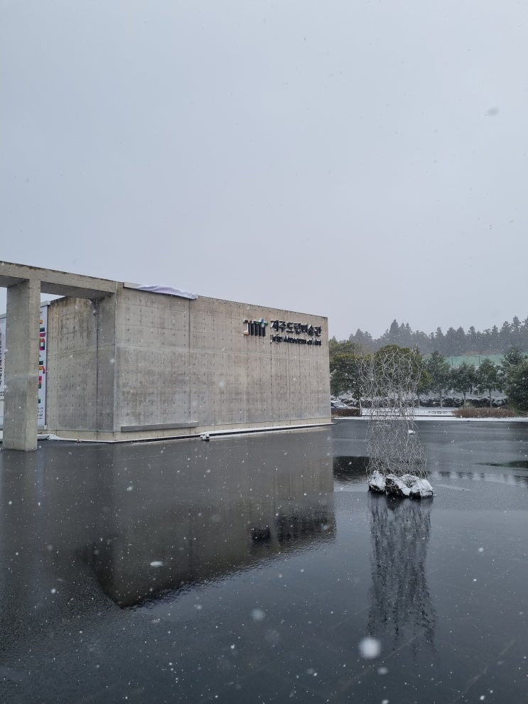 겨울방학 제주살이 9일차. (한림칼국수, 제주도립박물관, 제주동문시장) : 네이버 블로그