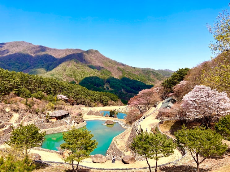 한국 여행 하동 지리산 청학동 삼성궁 입장료 3월 4월 봄에 가볼만한곳 네이버 블로그