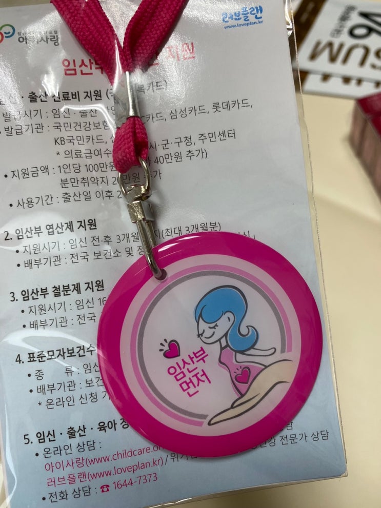 강서구보건소 임산부 등록 임신초기검사 임산부 배지엽산철분 수령 임산부 차량 등록 네이버 블로그