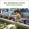 동탄 아쿠아리움 롯데백화점 디아쿠아 35개월 아이랑 물고기카페 네이버 블로그