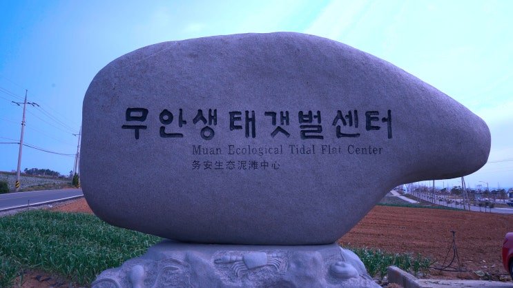 무안 여행 무안황토갯벌랜드 무안생태갯벌 과학관 갯벌 체험 네이버 블로그