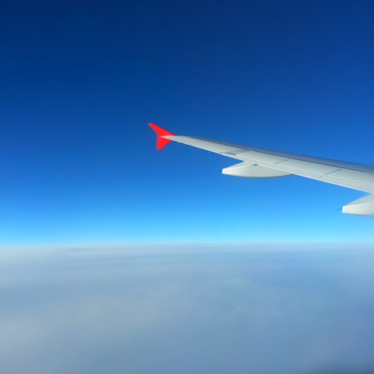 2023 국내 LCC 3사 얼리버드 초특가 프로모션 도전기/에어서울, 티웨이광탈/진에어 특가 진마켓 대성공 : 네이버 블로그