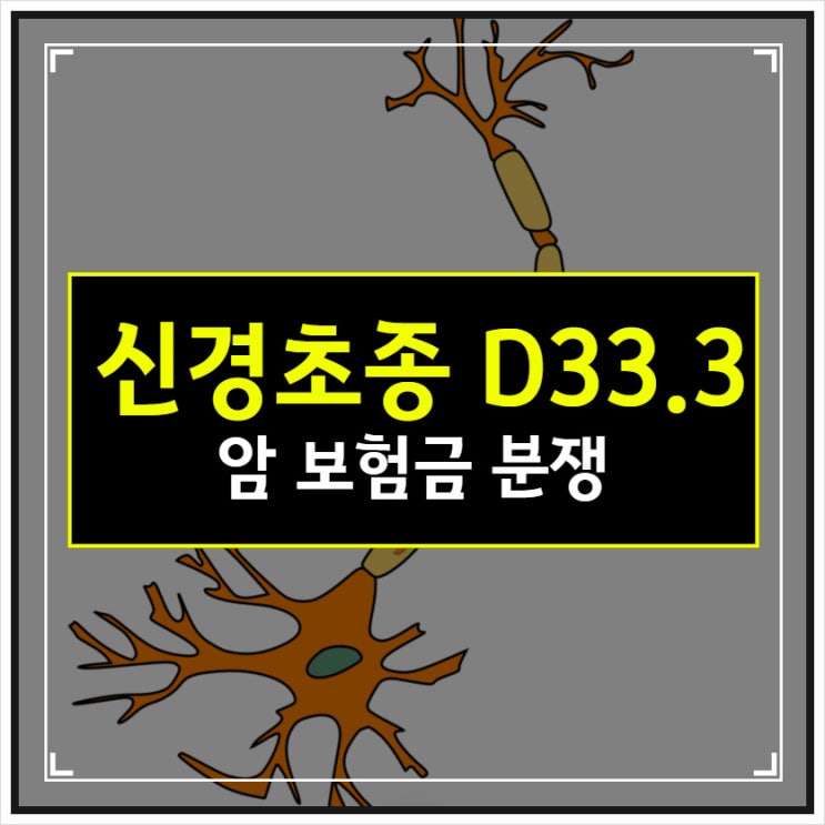 신경초종 D33.3 경계성종양 보험금 분쟁 발생 사유 : 네이버 블로그