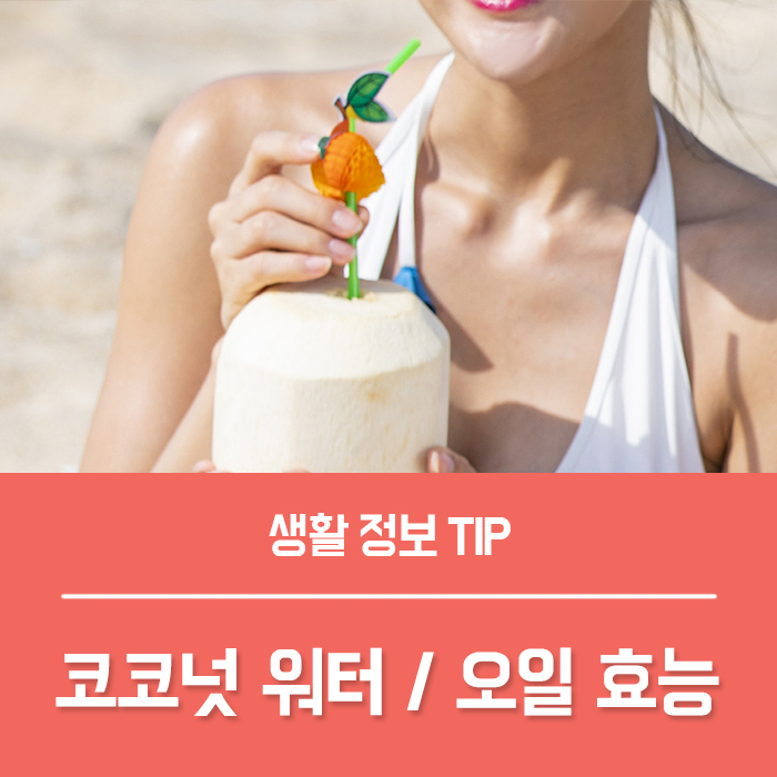 코코넛 효능 베스트 6 코코넛오일 코코넛워터 효능 네이버 블로그