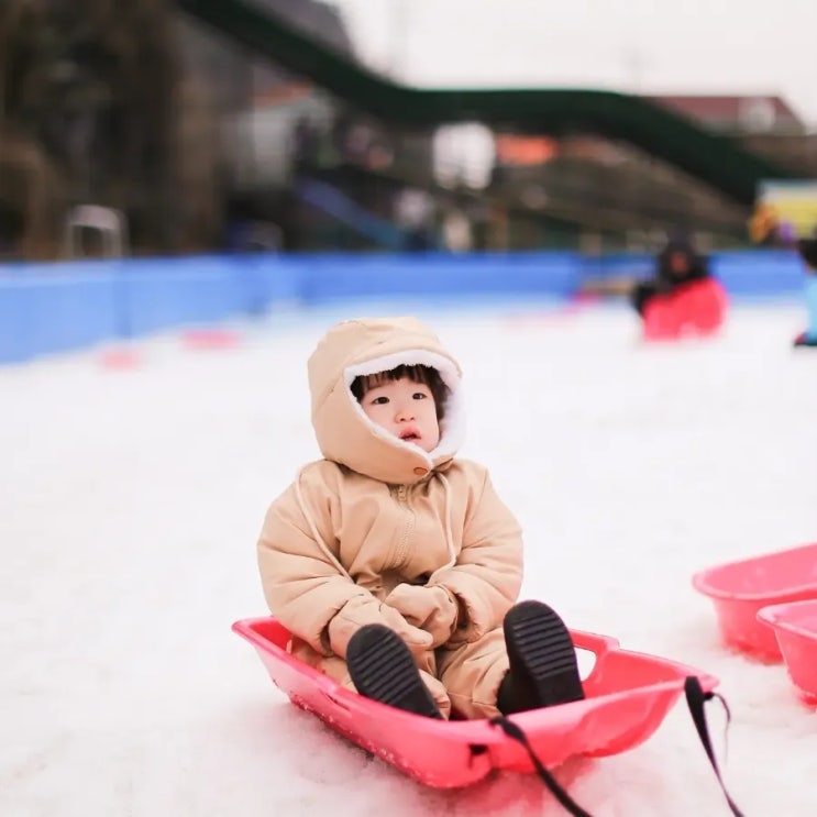 영천 드림랜드 눈썰매장 겨울철 아이랑 대구 경산 포항 울산 근처 가볼만한곳 네이버 블로그