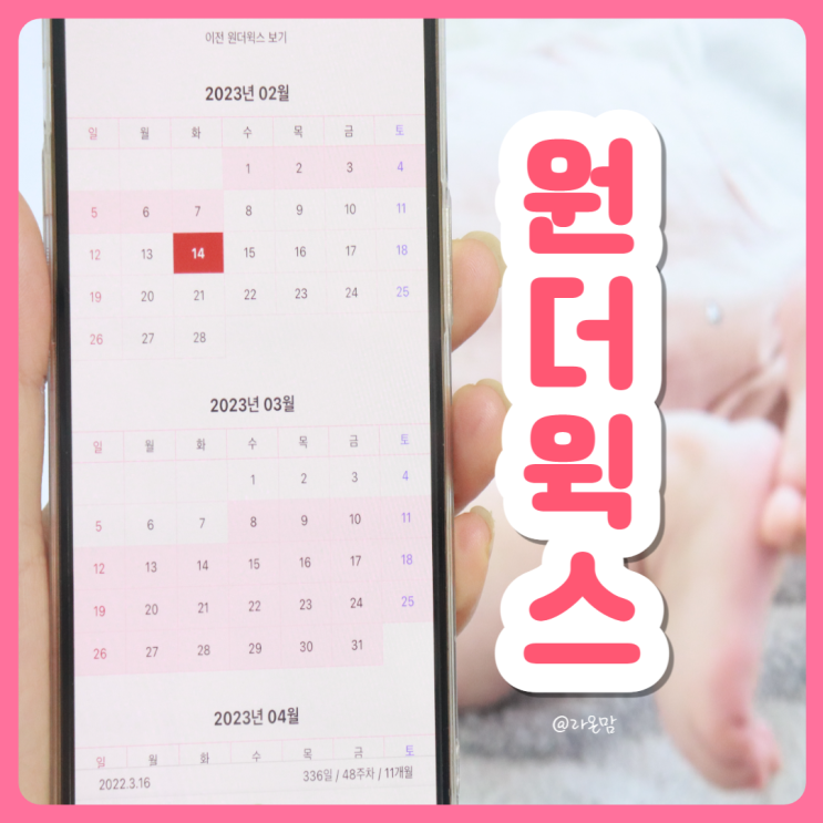 원더윅스 시기 기간 확인방법 아기 증상을 이해할 수 있어 네이버 블로그