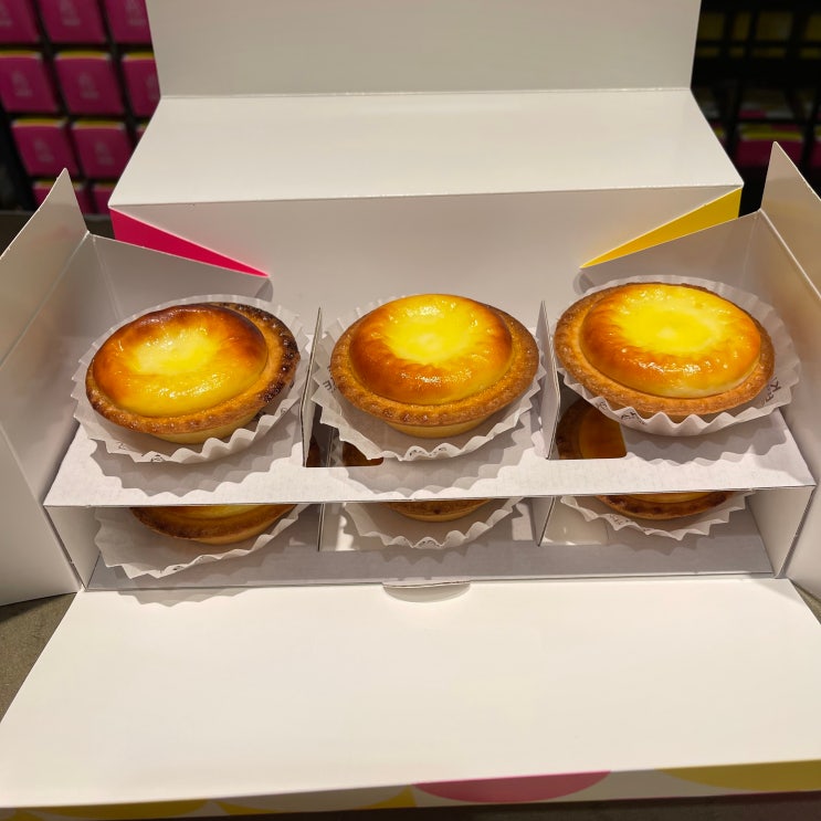 잠실역롯백 디저트 베이크bake 치즈타르트와 치즈호박타르트롯데백화점 잠실점 지하치즈 타르트 맛집선물 상자 포장