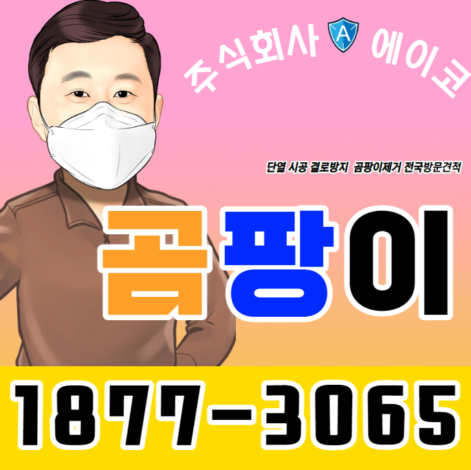 신발장 주변 곰팡이 청소 현관문 결로방지 페인트 칠복도식 아파트 네이버 블로그