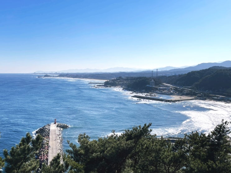 양양 죽도해변 해안산책로 죽도정 전망대 네이버 블로그