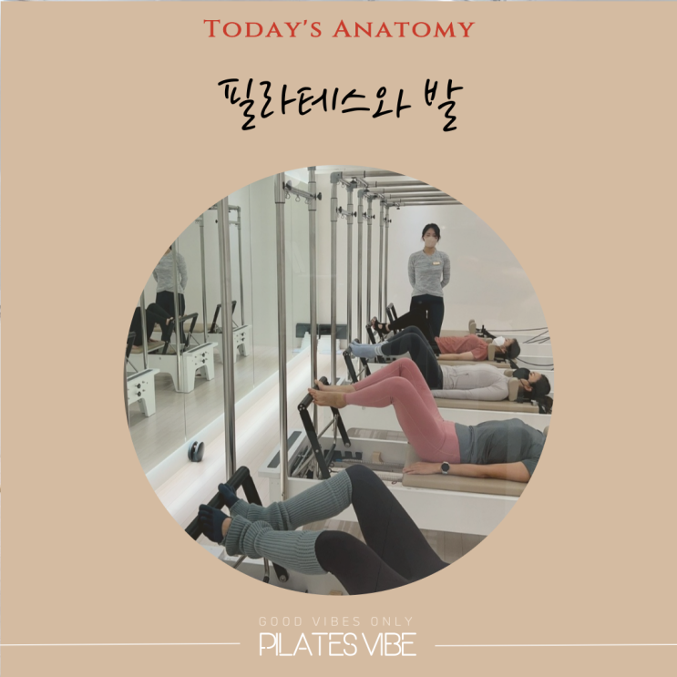 필라테스 해부학 바른 정렬의 숨은 열쇠👣 움직임의 완성도를 높이는 발 네이버 블로그