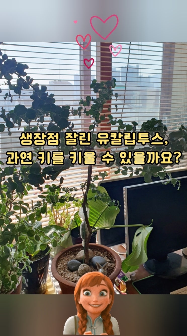 유튜브 가로 동영상 쇼츠(shorts) 세로 영상으로 변환하는 방법 : 네이버 블로그