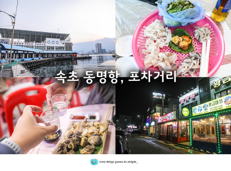 강원도 먹거리 속초 동명항 회센터 속초 포장마차 거리 네이버 블로그