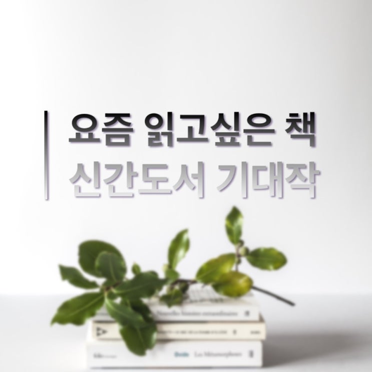 눈에 띄는 신간도서 요즘 읽을만한 책 네이버 블로그