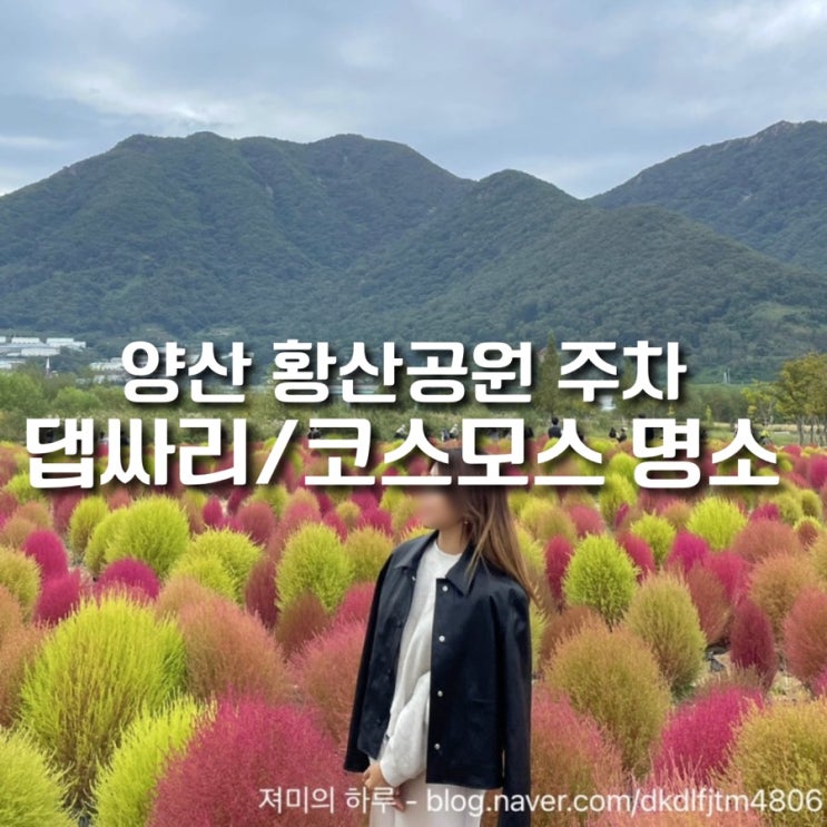 양산 황산공원 댑싸리 코스모스 명소 위치 주차 네이버 블로그