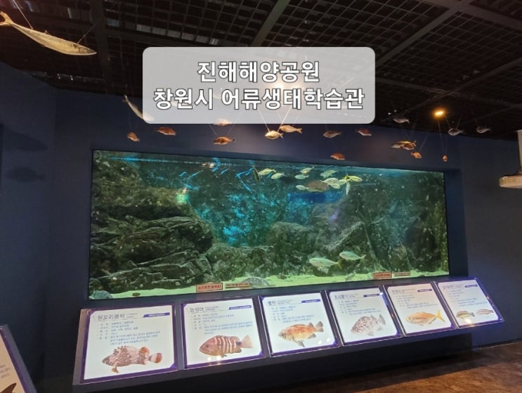 아이와 진해 실내 진해해양공원 창원시어류생태학습관 네이버 블로그