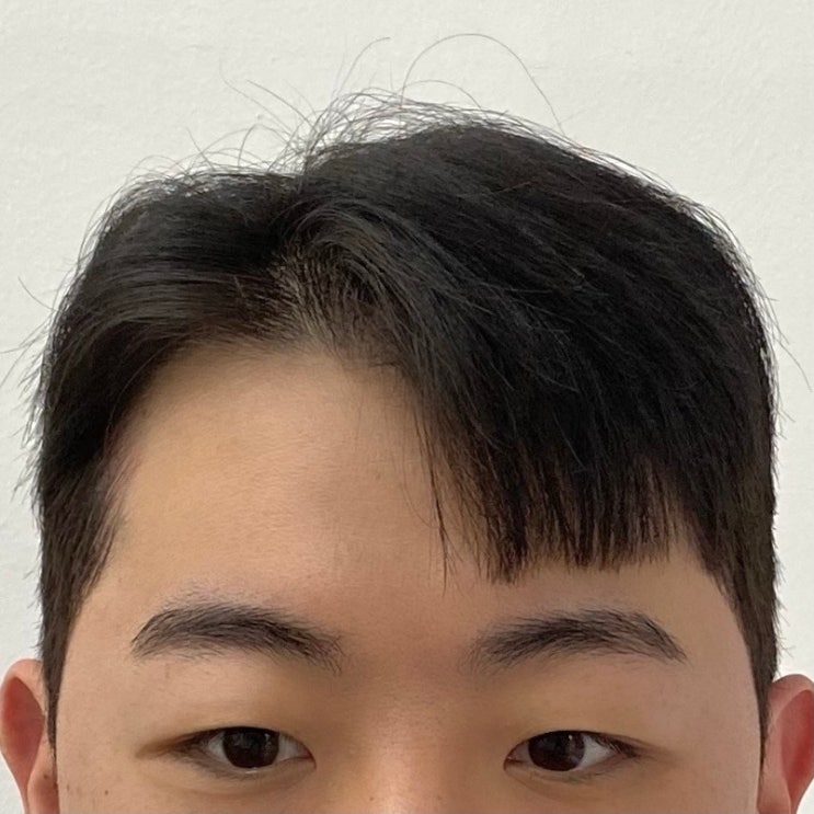2023 평택 고덕 미용실 가일 컷 가일 펌 숏 가일 필러 스컷 필러스 펌 상범 살롱 상범 원장 네이버 블로그
