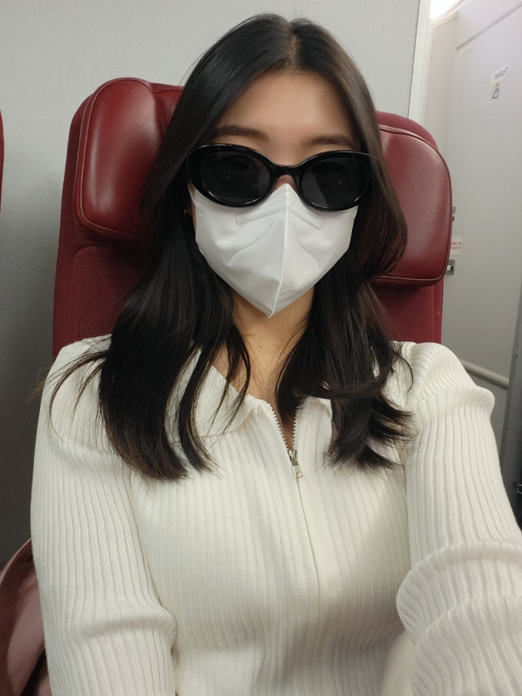 좌석 꿀팁! 콴타스항공 호주-시드니-브리즈번 QF88, QF51 국제선-국내선 환승/기내식/연착/지연 : 네이버 블로그